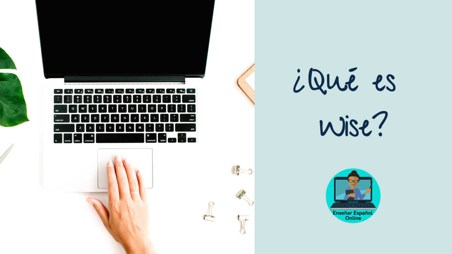 ¿Qué es Wise? – Enseñar Español Online
